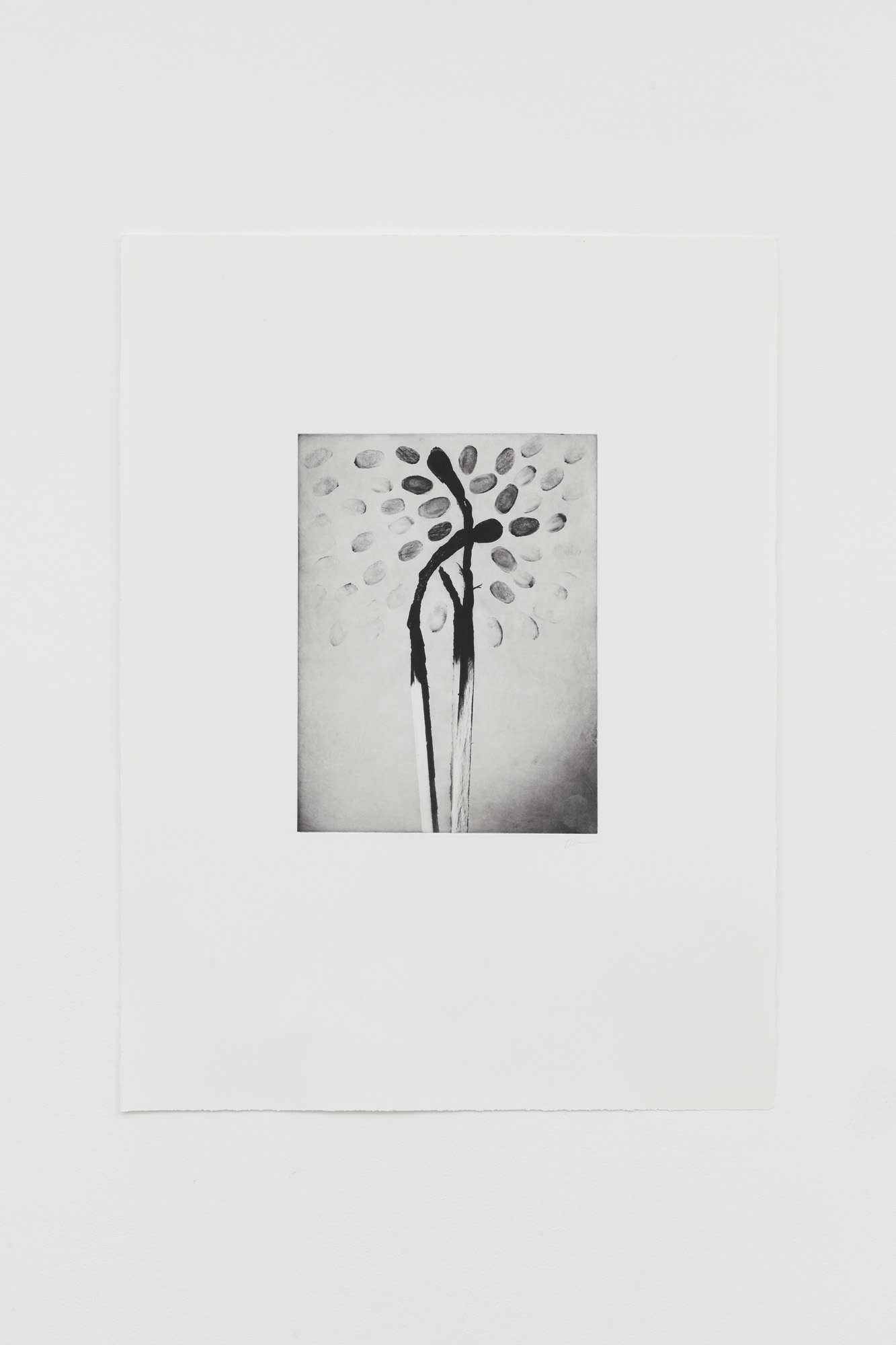 Cob Gallery - Photo London